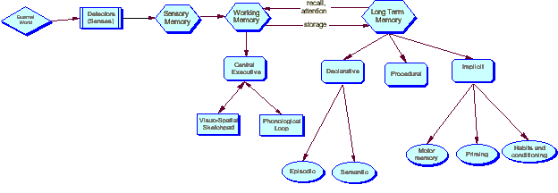 UMD PERG ROLE Project Description